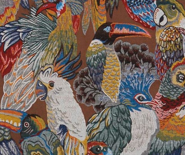 Élan Collections: The Nevada Showroom You Need o Know About